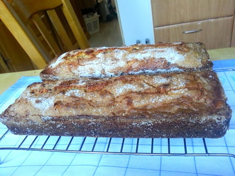 Apple Raisin Amish Friendship Bread