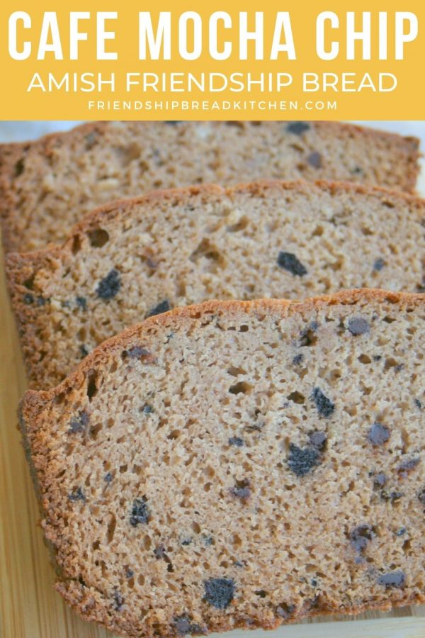 Cafe Mocha Chip Amish Friendship Bread