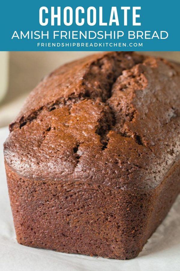 Chocolate Amish Friendship Bread