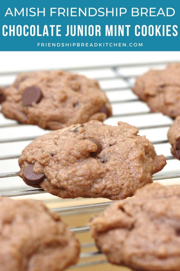 Amish Friendship Bread Chocolate Junior Mint Cookies