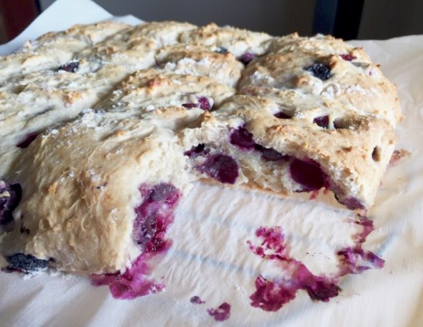 Blueberry Cream Amish Friendship Bread Biscuits