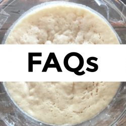 Learn Archives - Friendship Bread Kitchen