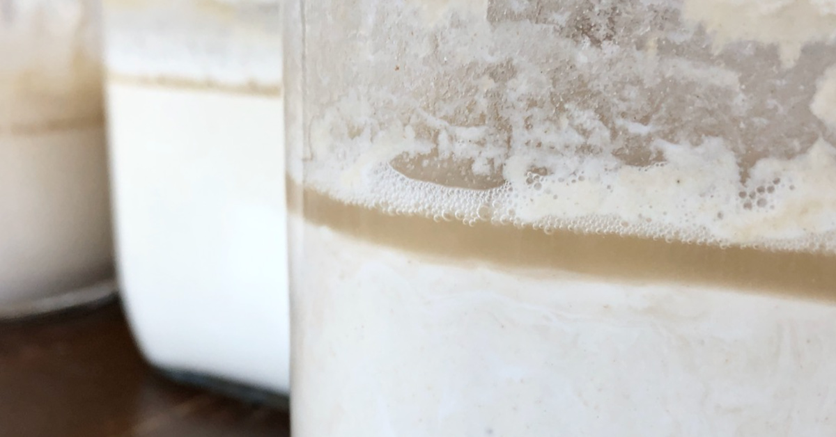 FAQ - What is Starter Hooch?