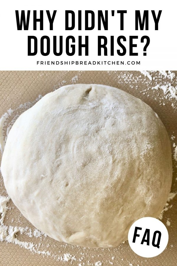 FAQ - Why didn't my bread or dough rise? | Friendship Bread Kitchen