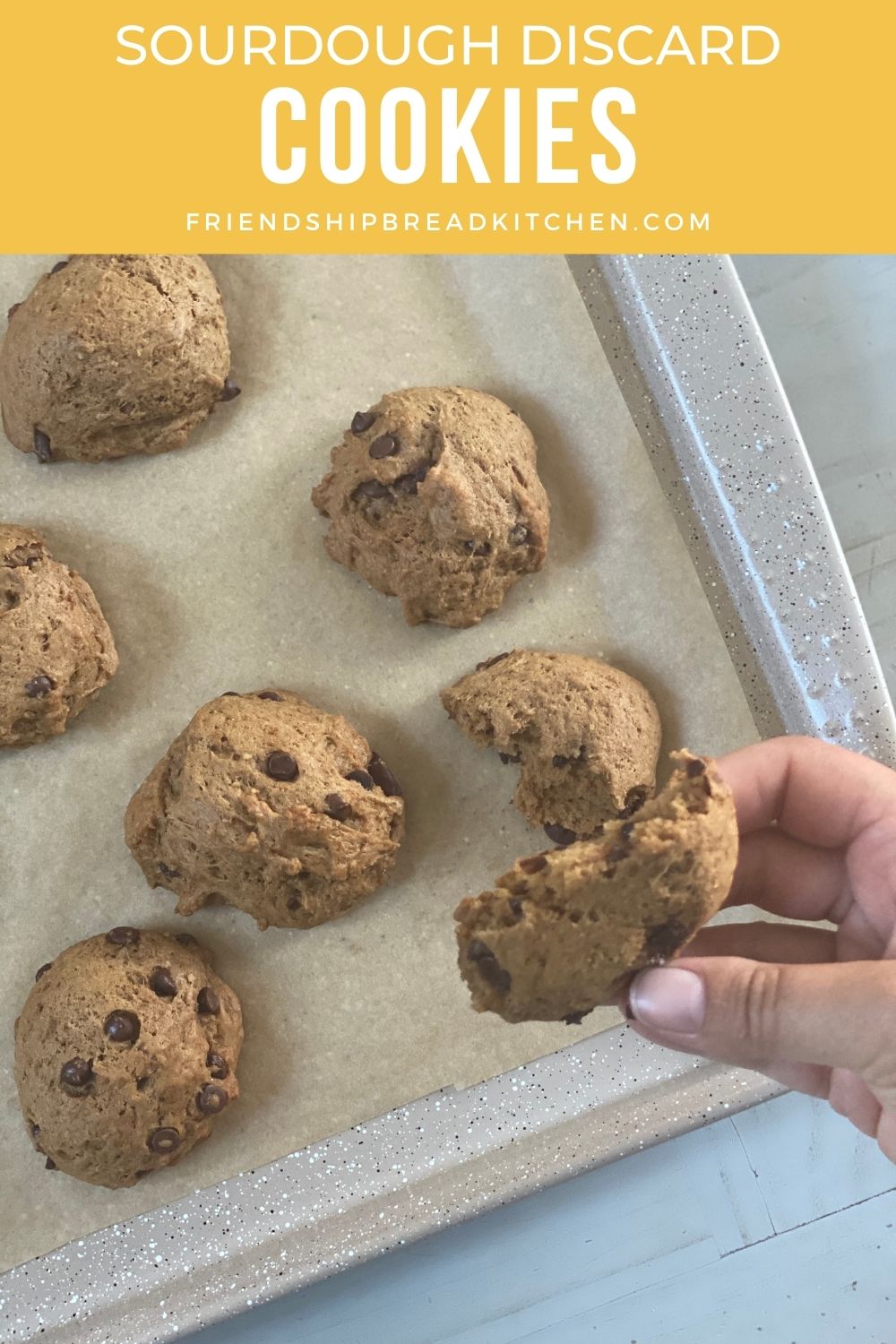 Vegan Sourdough Discard Chocolate Chip Cookies | Friendship Bread Kitchen