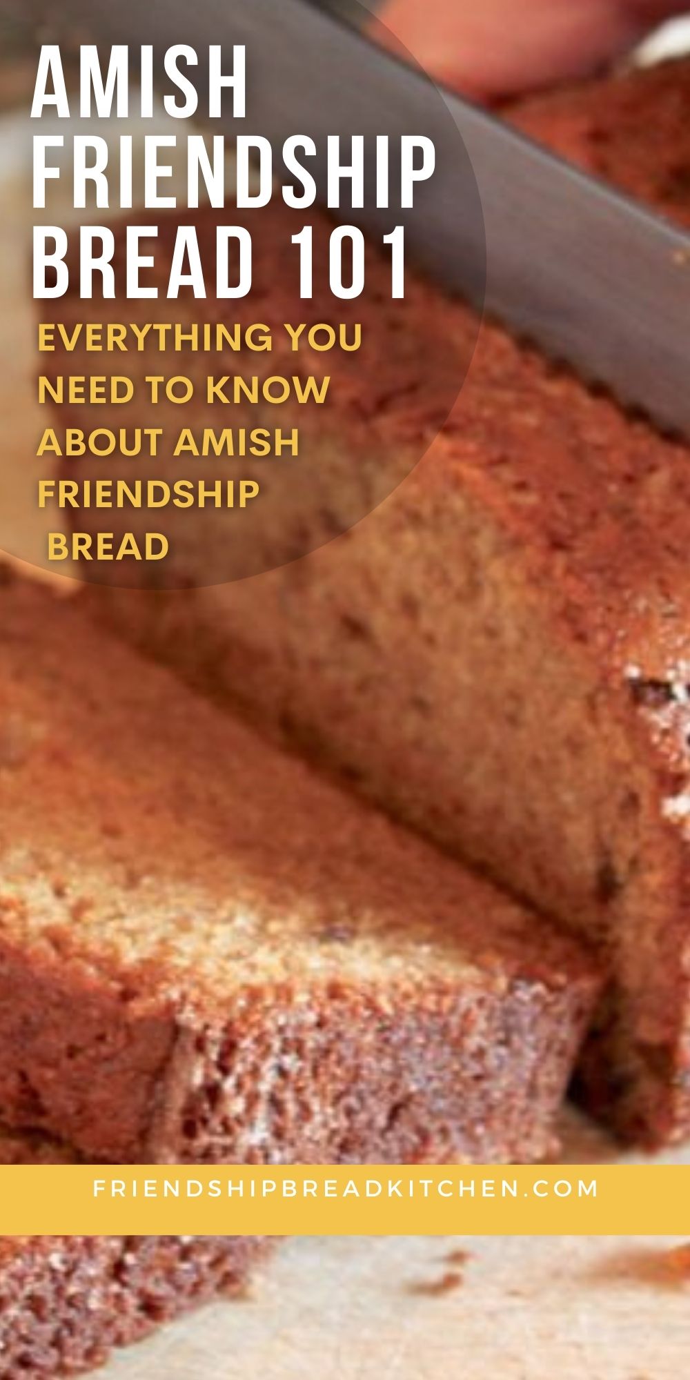 What Is Amish Friendship Bread A Recipe And 101